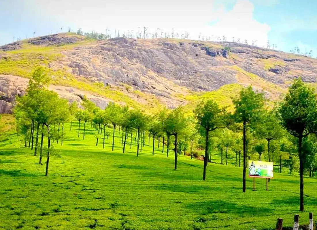 Keralatravelpacks - Best Kerala Tour Packages and Kerala Taxi Packages